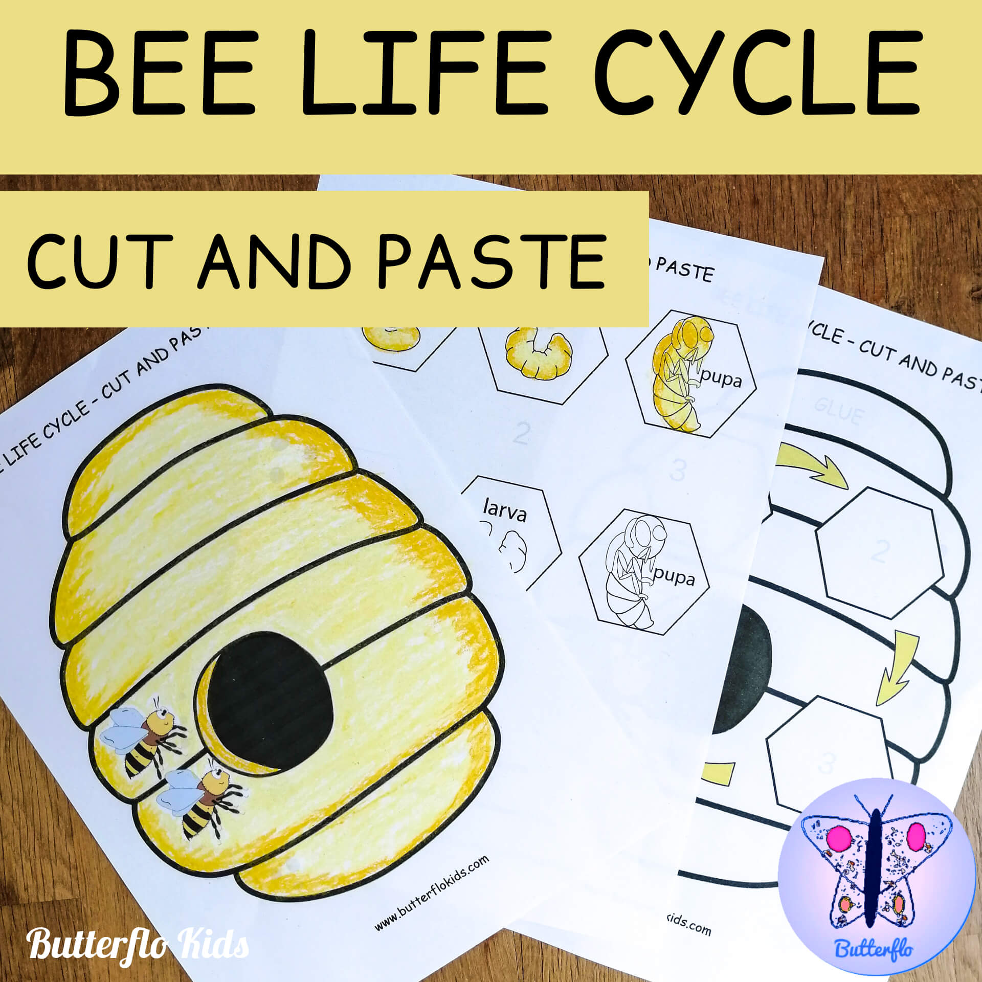 Bee Life Cycle Craft - Butterflo Kids